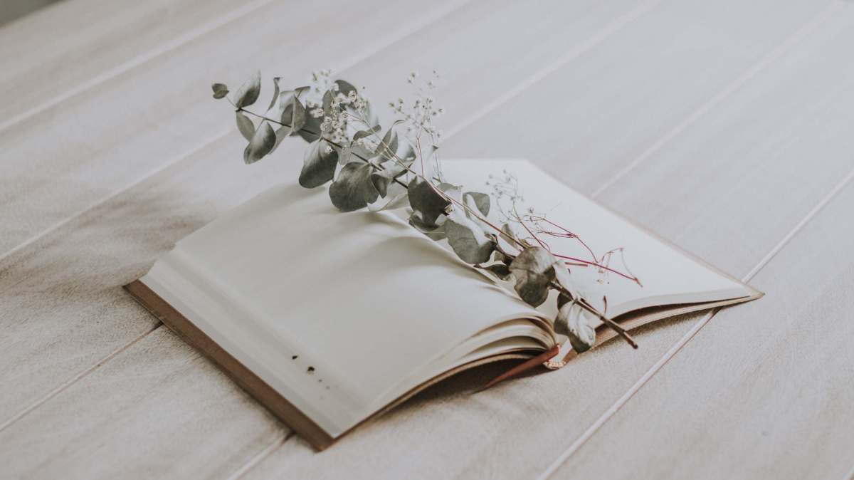 Random Journal Entry Or Something. – The Shubhster Diaries